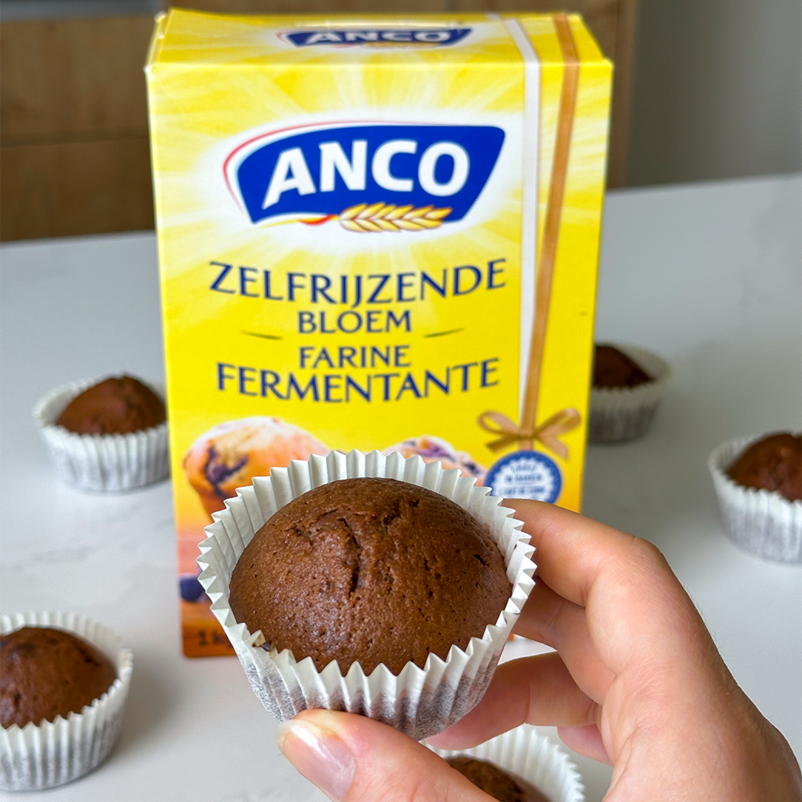 Recette de Muffins au Chocolat – Anco